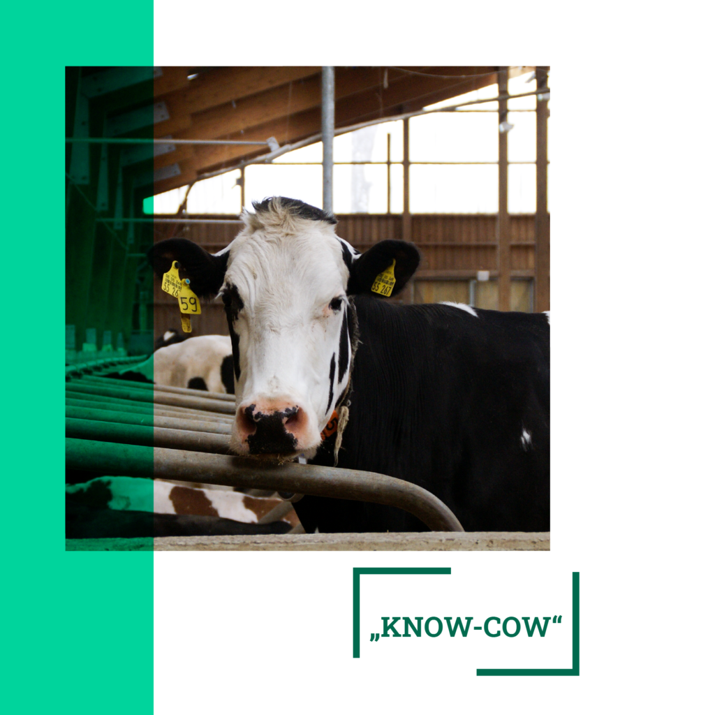 Mit CattleData Classic wirst du zum ÖKUH! - CattleData GmbH